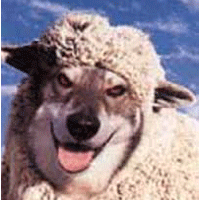 Como ovejas entre lobos - UC