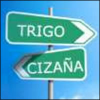 ¿Trigo o cizaña? - UC